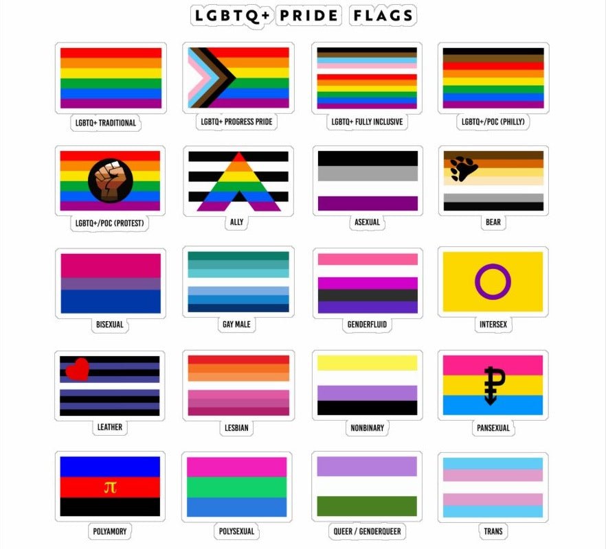 A Complete Guide to What the Different Gay Pride Flags Mean ...